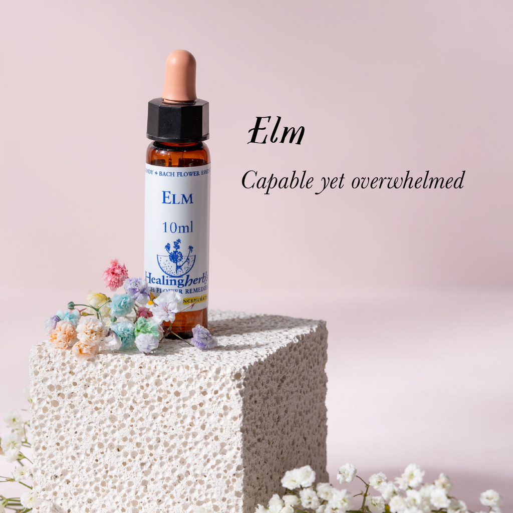 Elm – Pure Remedies